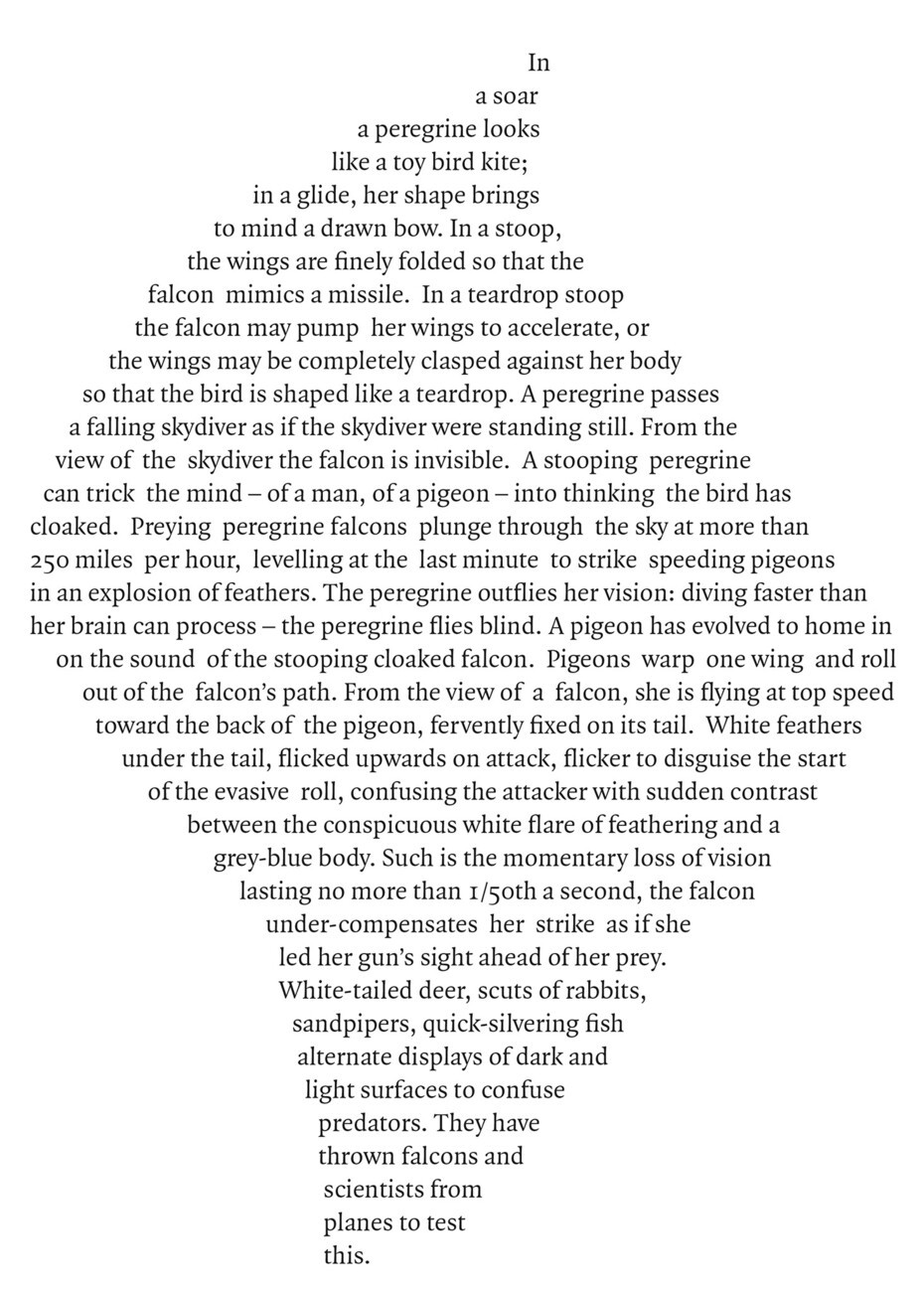 David Morley · Poem: ‘Yarak’