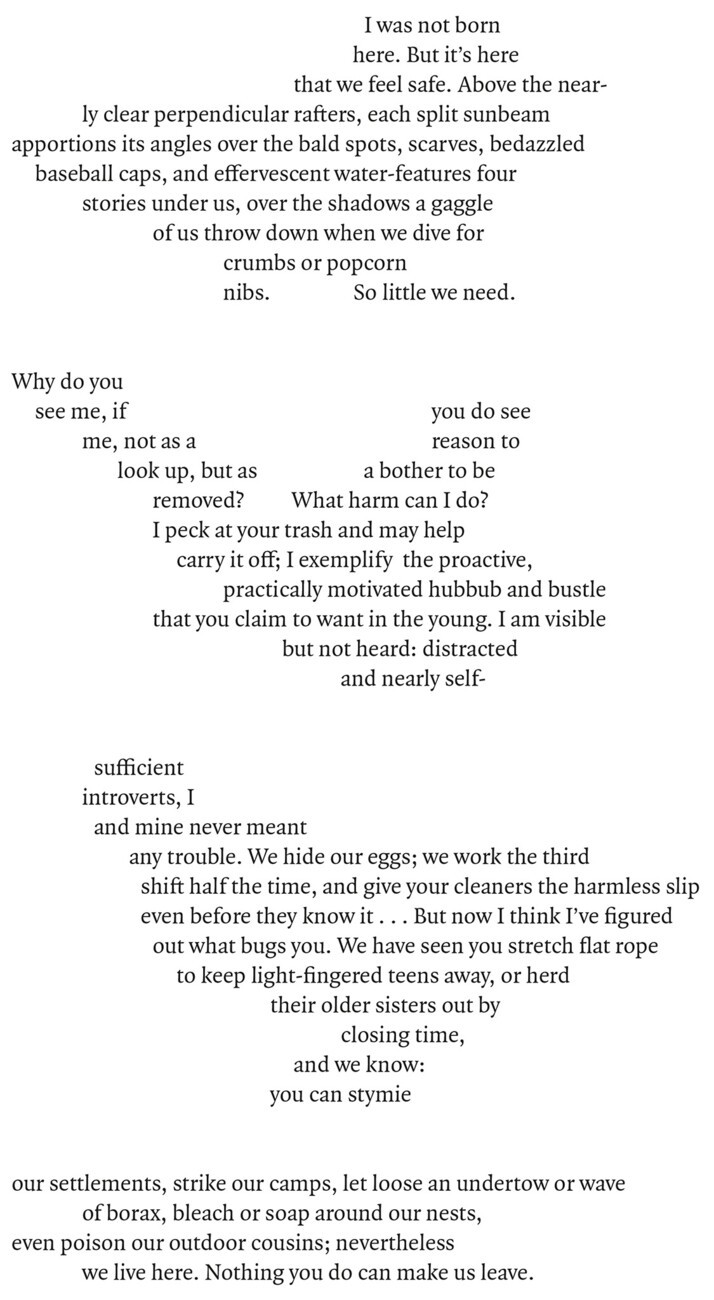 Stephanie Burt · Poem: ‘Sparrows in the Natick Collection’