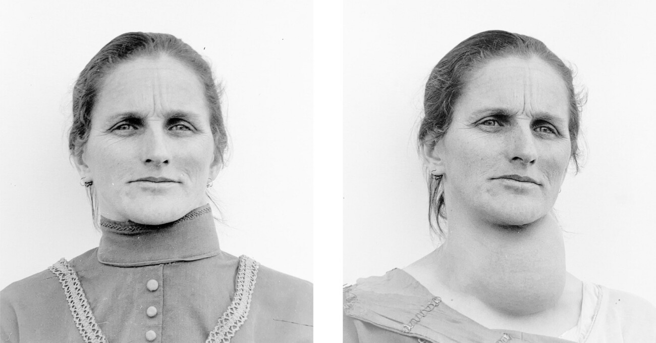 Jonah Goodman · A National Evil