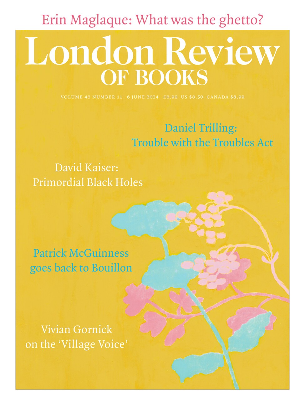 Daniel Trilling · Slow Waltz: Trouble with the Troubles Act