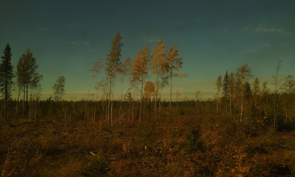 Sadakat Kadri | Autumn in Finland