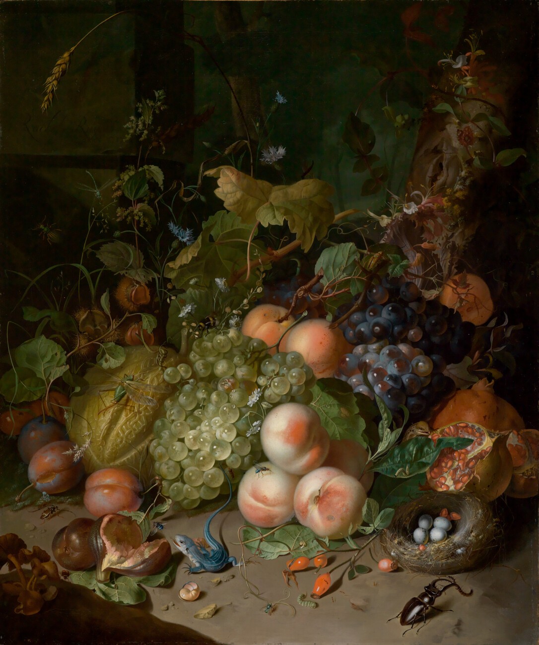 Clare Bucknell · On Rachel Ruysch