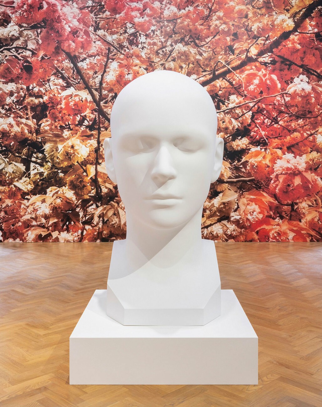 Daniel Soar · At the Pace Gallery: Trevor Paglen