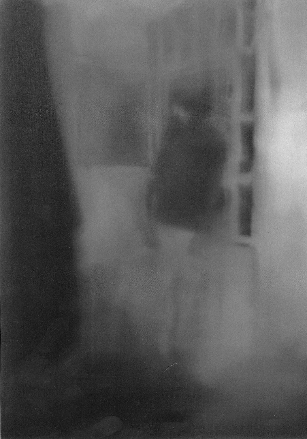 gudrun ensslin interview