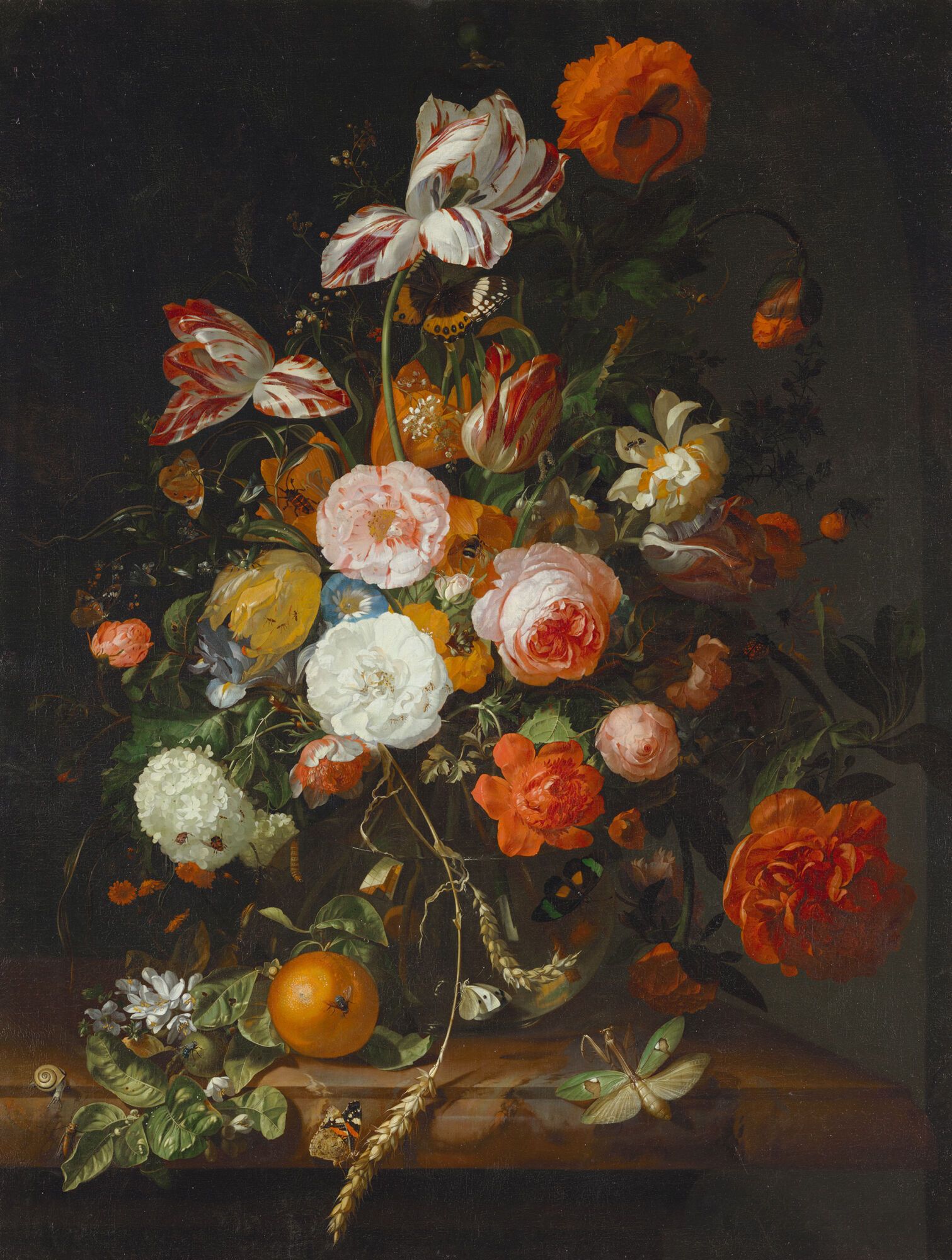 Clare Bucknell · On Rachel Ruysch