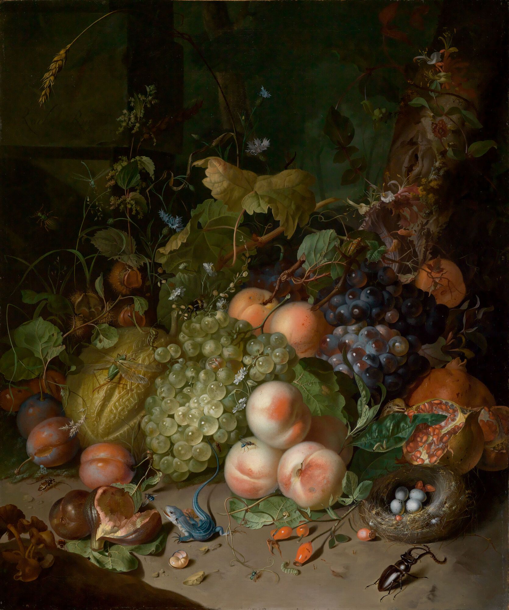 Clare Bucknell · On Rachel Ruysch