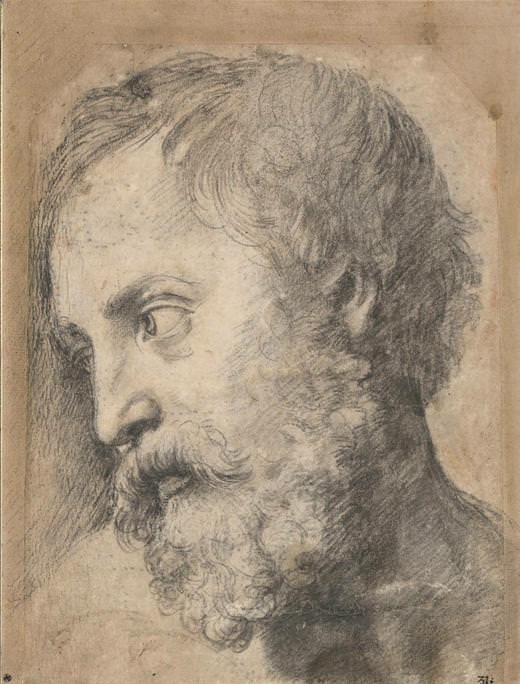 raphael drawings ashmolean
