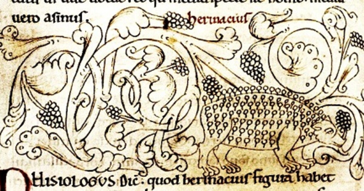 Mary Wellesley | Hash-hogs