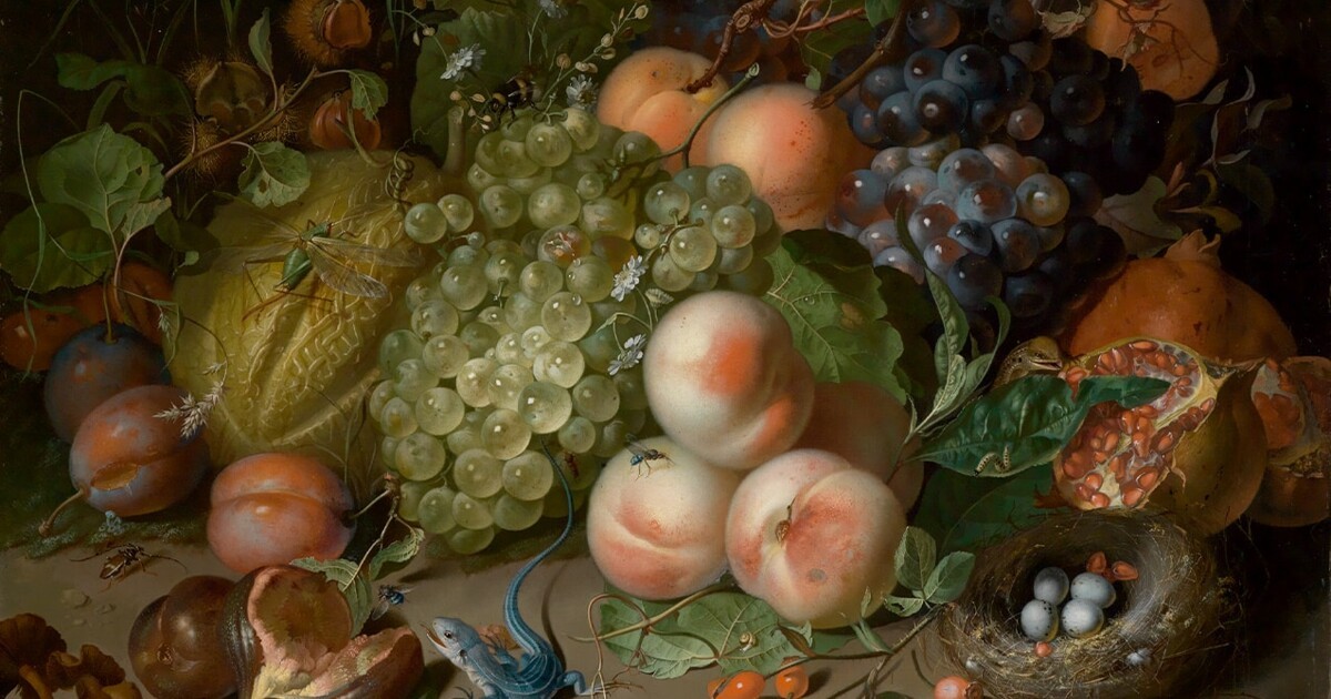 Clare Bucknell · On Rachel Ruysch