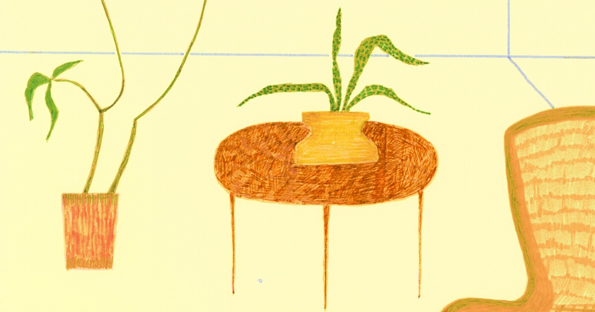 Nicole Flattery · A Cat Called Griselda: ‘Mothercare’