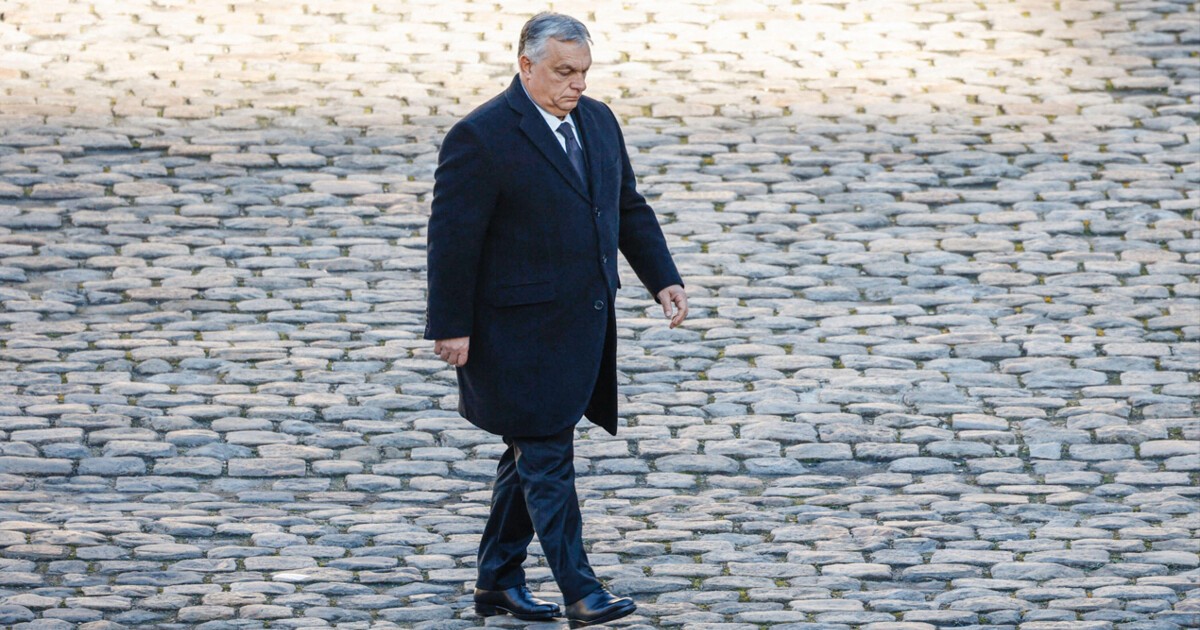 David Edgar · Cooked Frog: Orbán’s Hungary