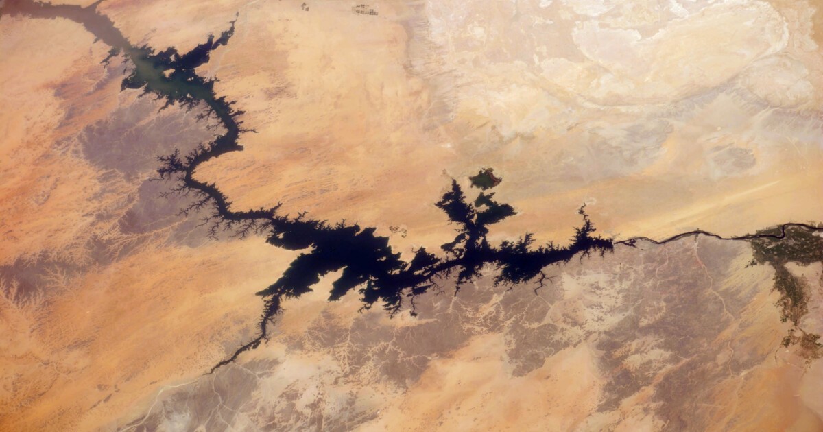 Rosa Lyster · Diary: Along the Water