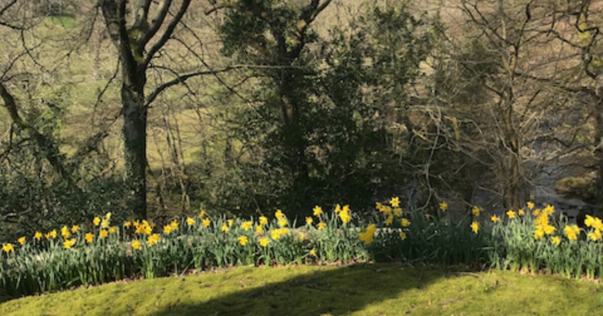 Gillian Darley | In Llanystumdwy