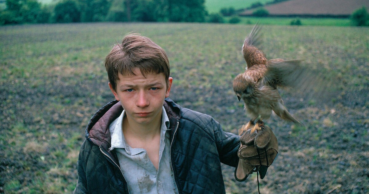 David Trotter · Don’t go quietly: Ken Loach’s Fables