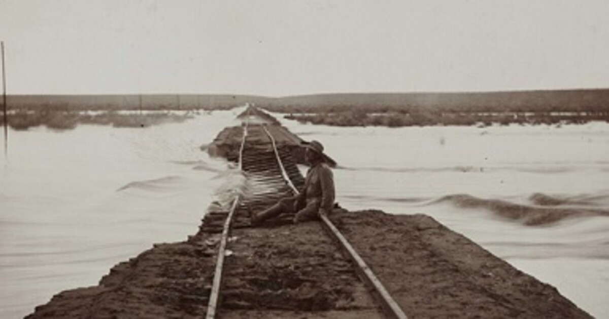 Daniel Trilling | In Berlin