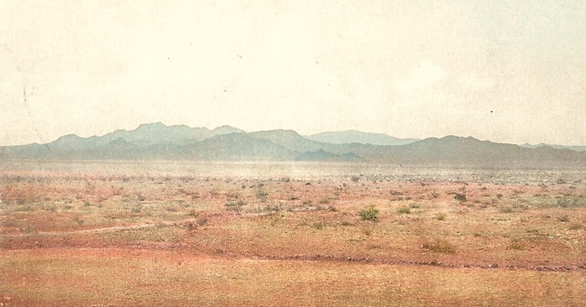 Stephanie Burt · On Forrest Gander