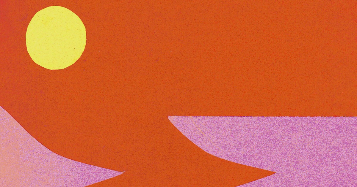 Amber Medland · The Reason I Lost Everything: Kamila Shamsie