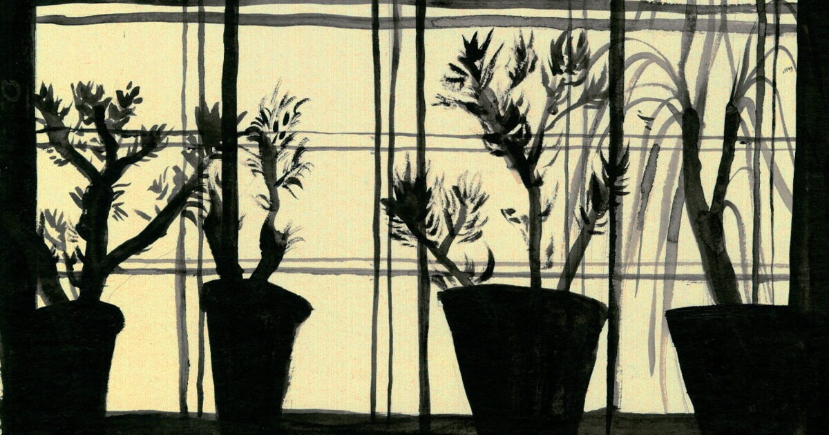 Emily Witt · Rambo v. Rimbaud: On Justin Torres