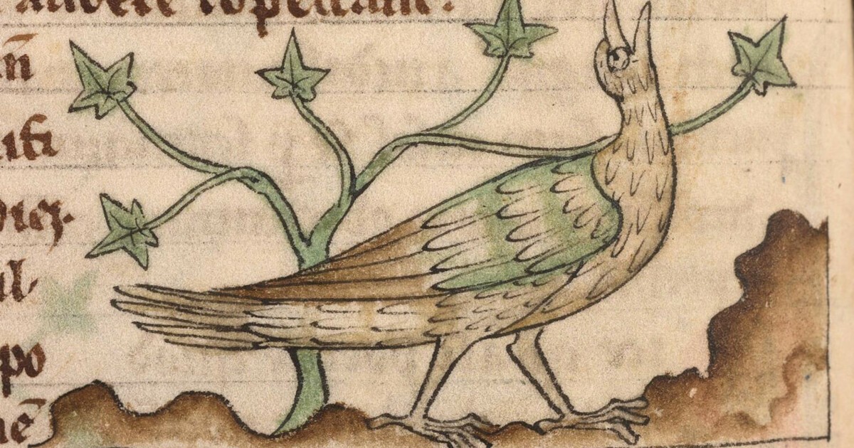 Mary Wellesley · On the Nightingale