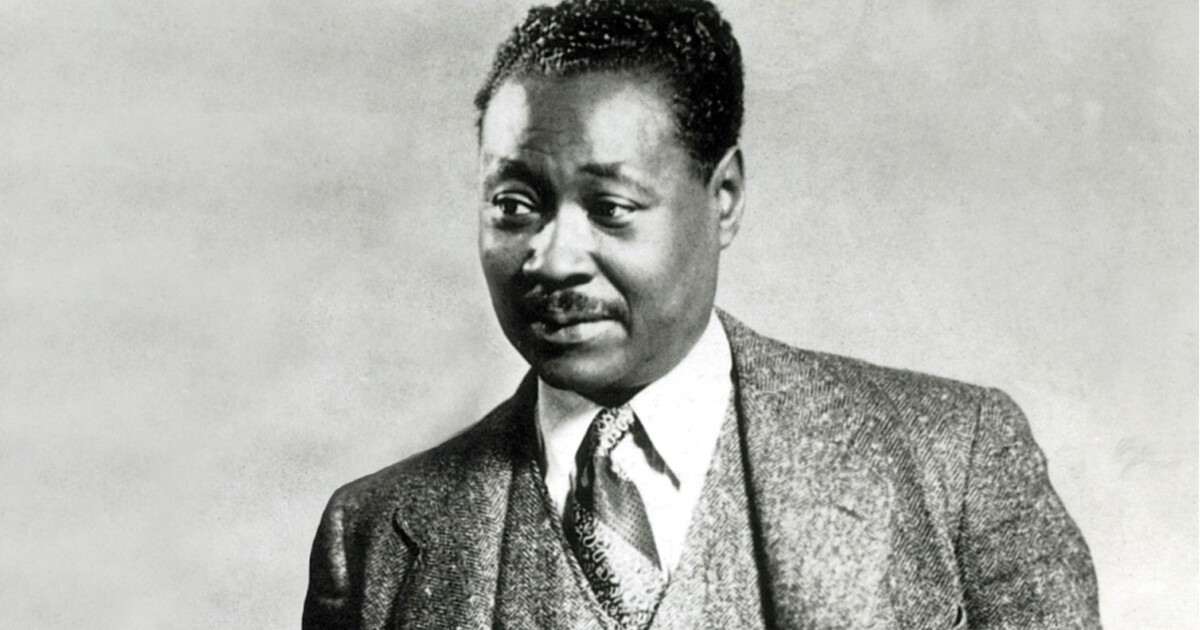 Kevin Okoth · Who’s the real wolf? Black Marseille