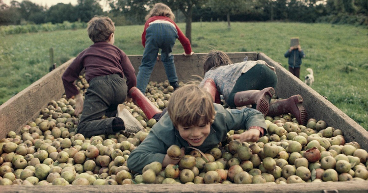Jeremy Harding · In Brittany