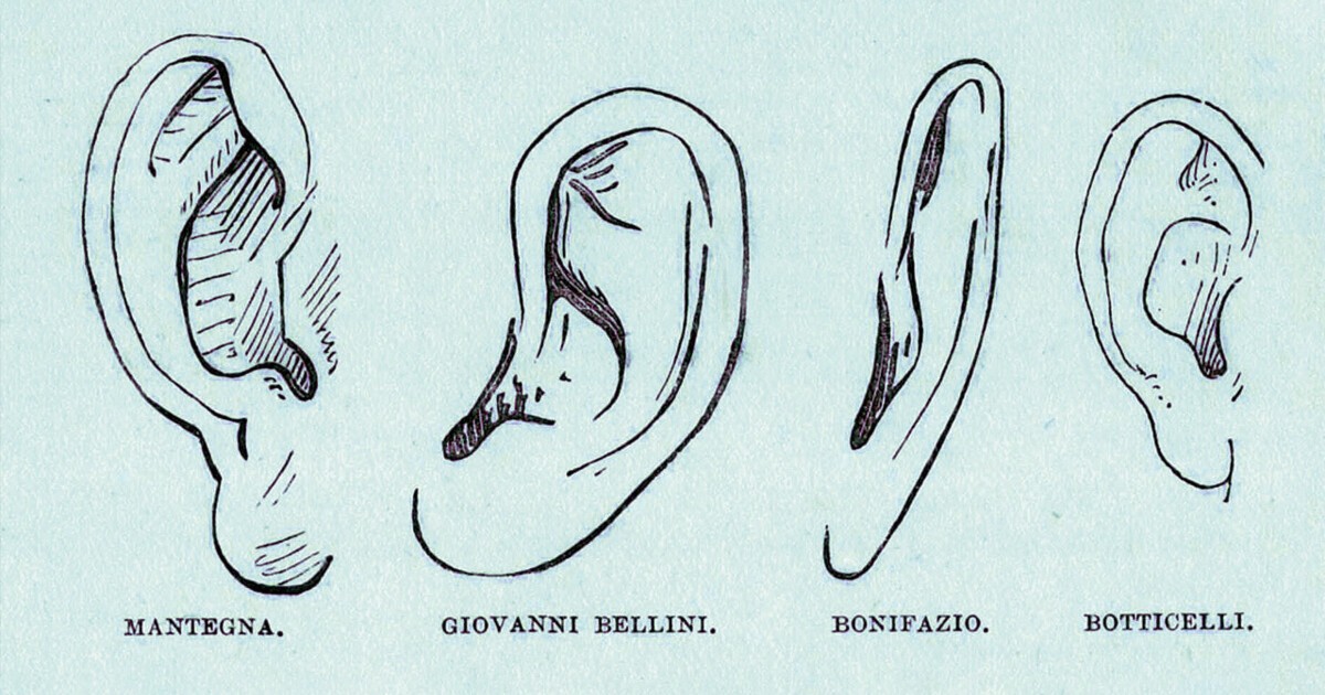 Jonathan Beckman · Just Look at Them: Ears and Fingers