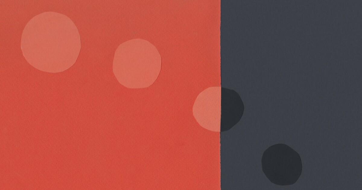 Blake Morrison · Reflexive Hostility: Susan Choi’s ‘Flashlight’
