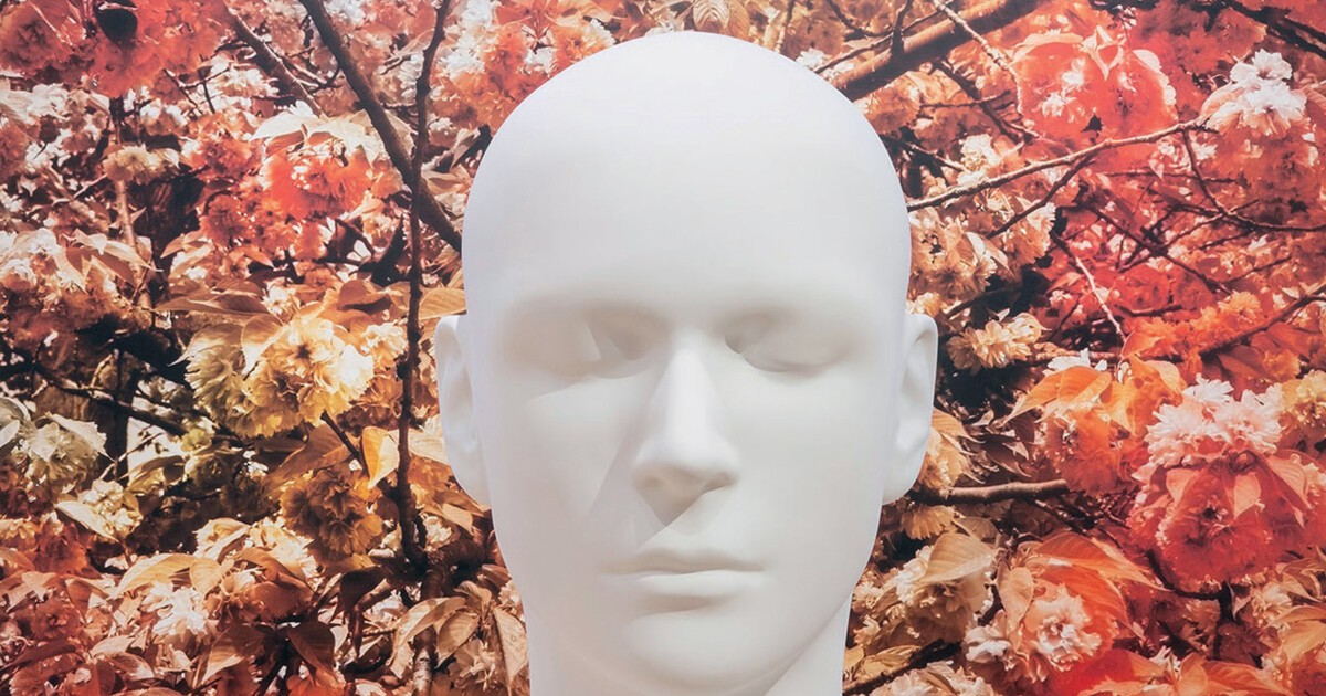 Daniel Soar · At the Pace Gallery: Trevor Paglen