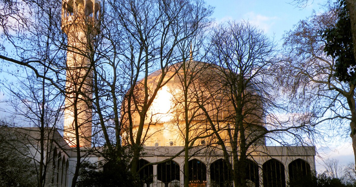 Tim Parks · Eaten Alive by a Vicious Cat: On Hisham Matar