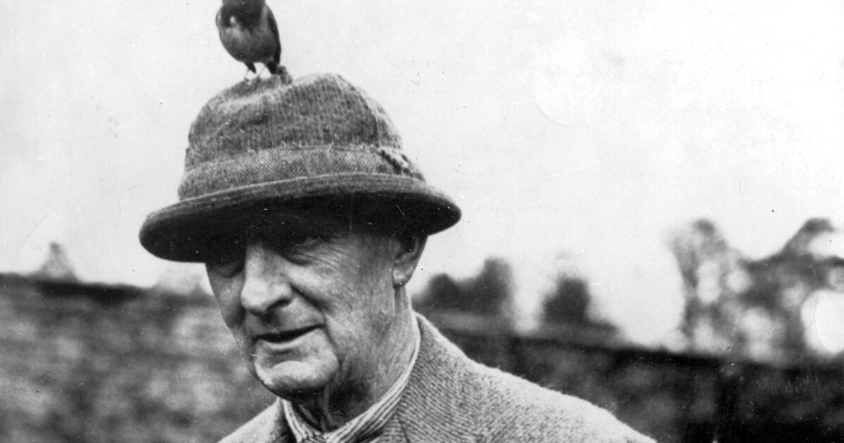 Jonathan Parry · A Regular Grey