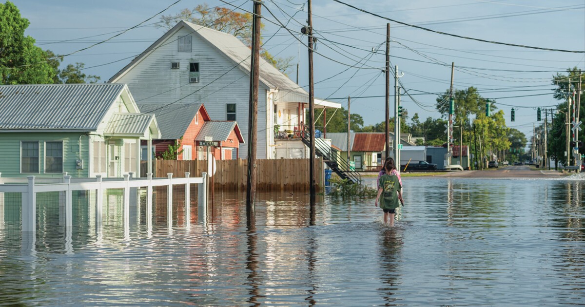 Rosa Lyster · Diary: Louisiana Underwater