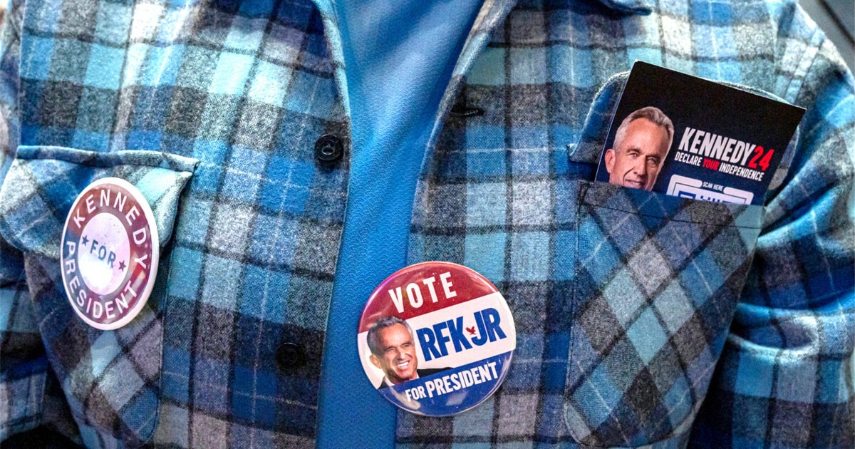 Deborah Friedell · On RFK Jr