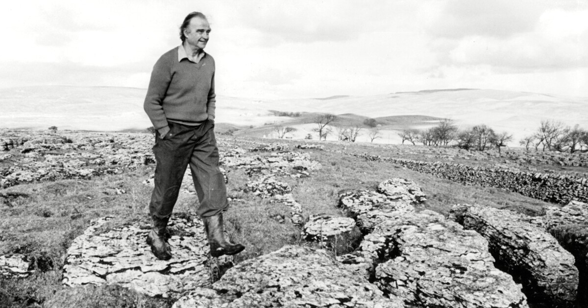 Neal Ascherson · The Bad News about the Resistance: Parachuted into France