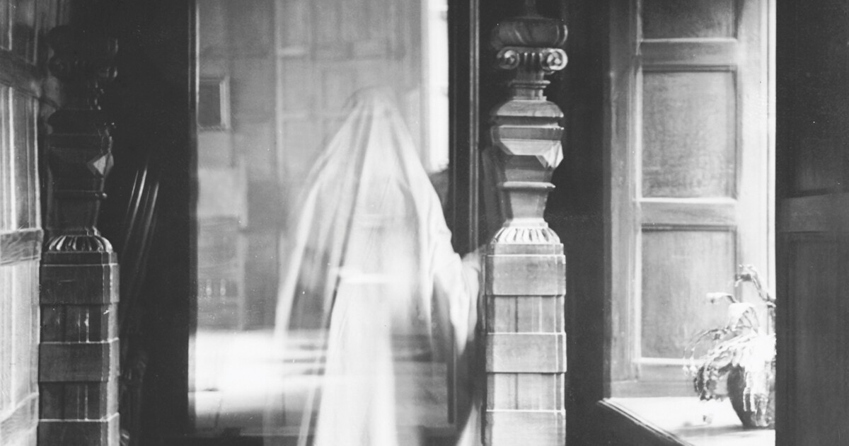 Alison Light · Astral Projection: The Case of the Croydon Poltergeist